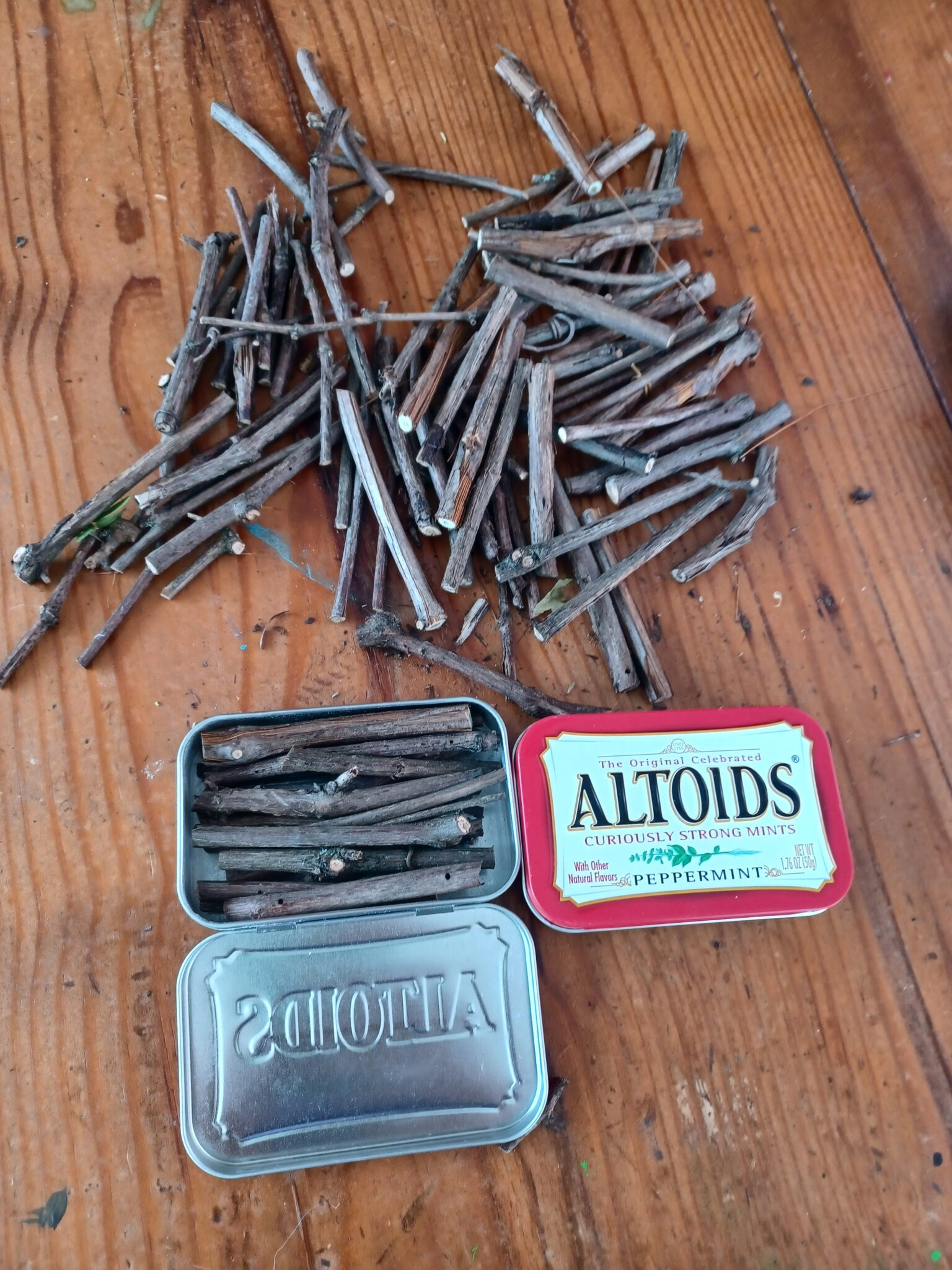 Foraged Art Materials in So-Called Western New York | Food Systems ...