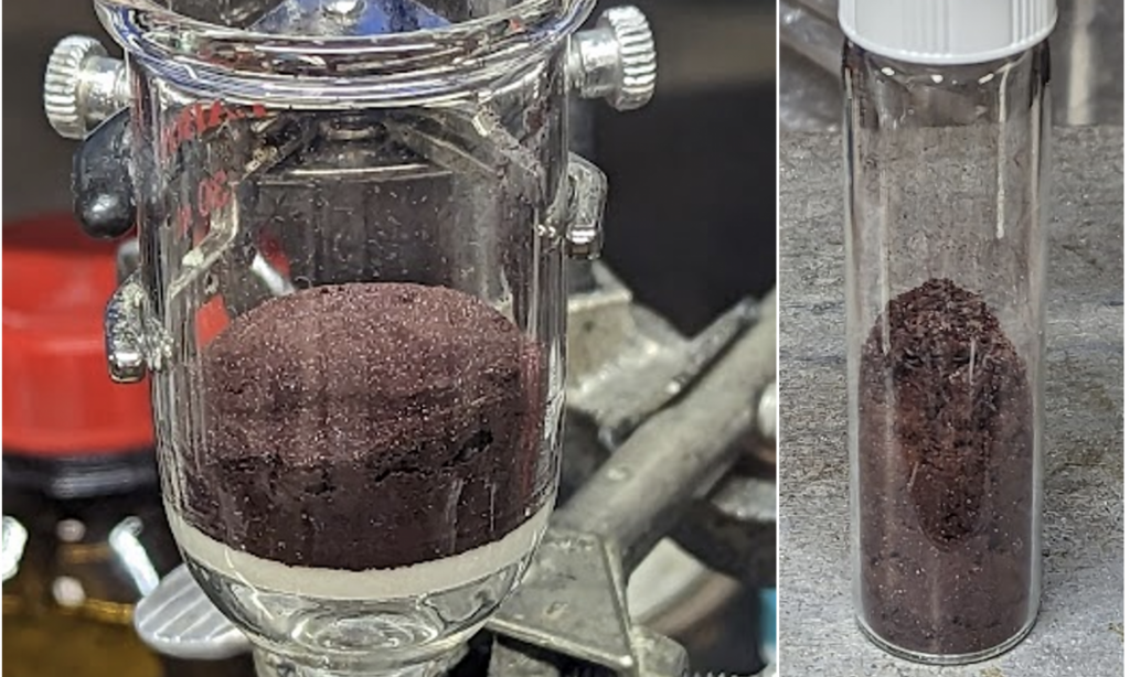 Welcome to the Lacy Lab at UB – Lacy Lab @ UB