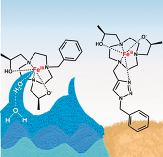 Publications – Welcome to The Morrow Lab